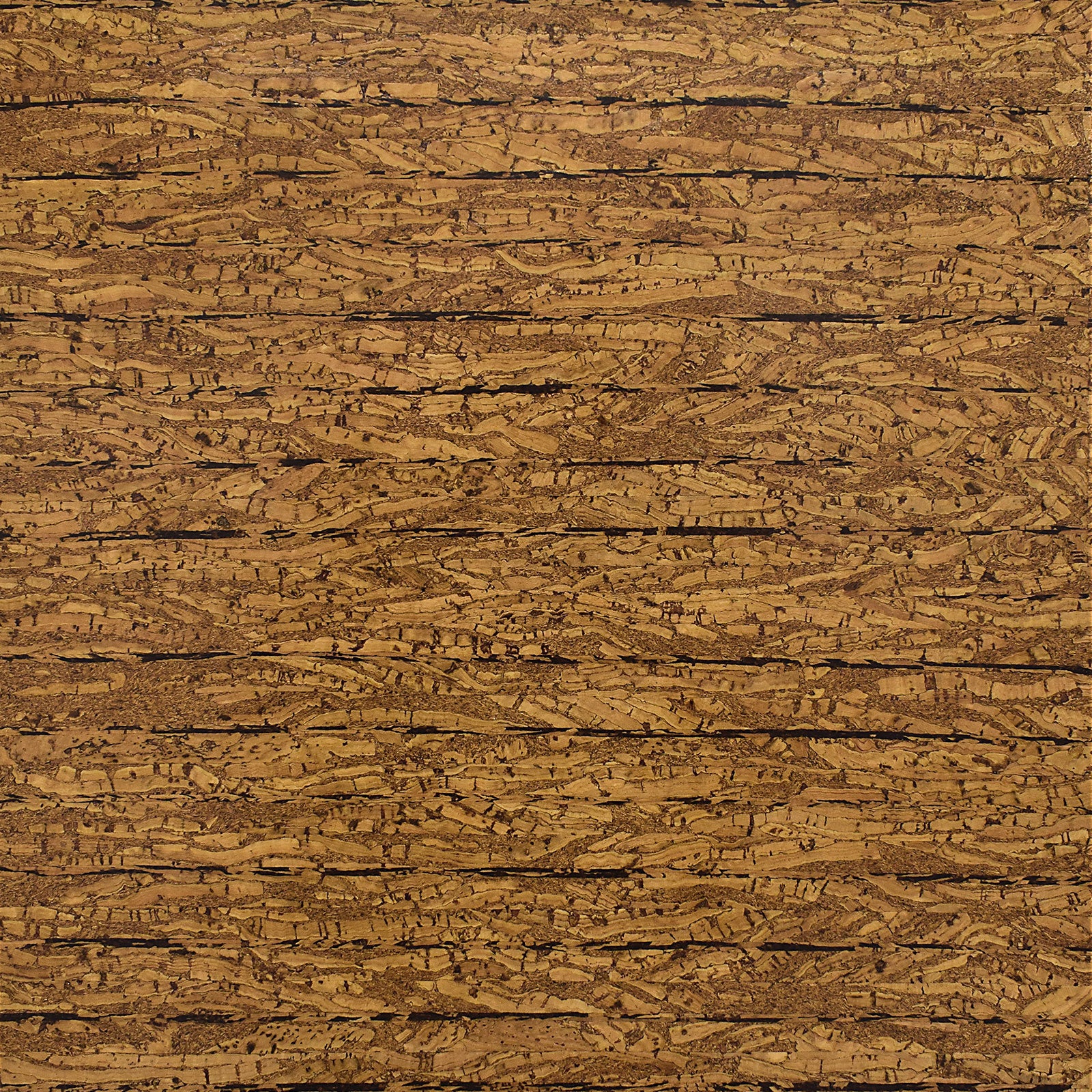 TMU 19 – TO MARKET